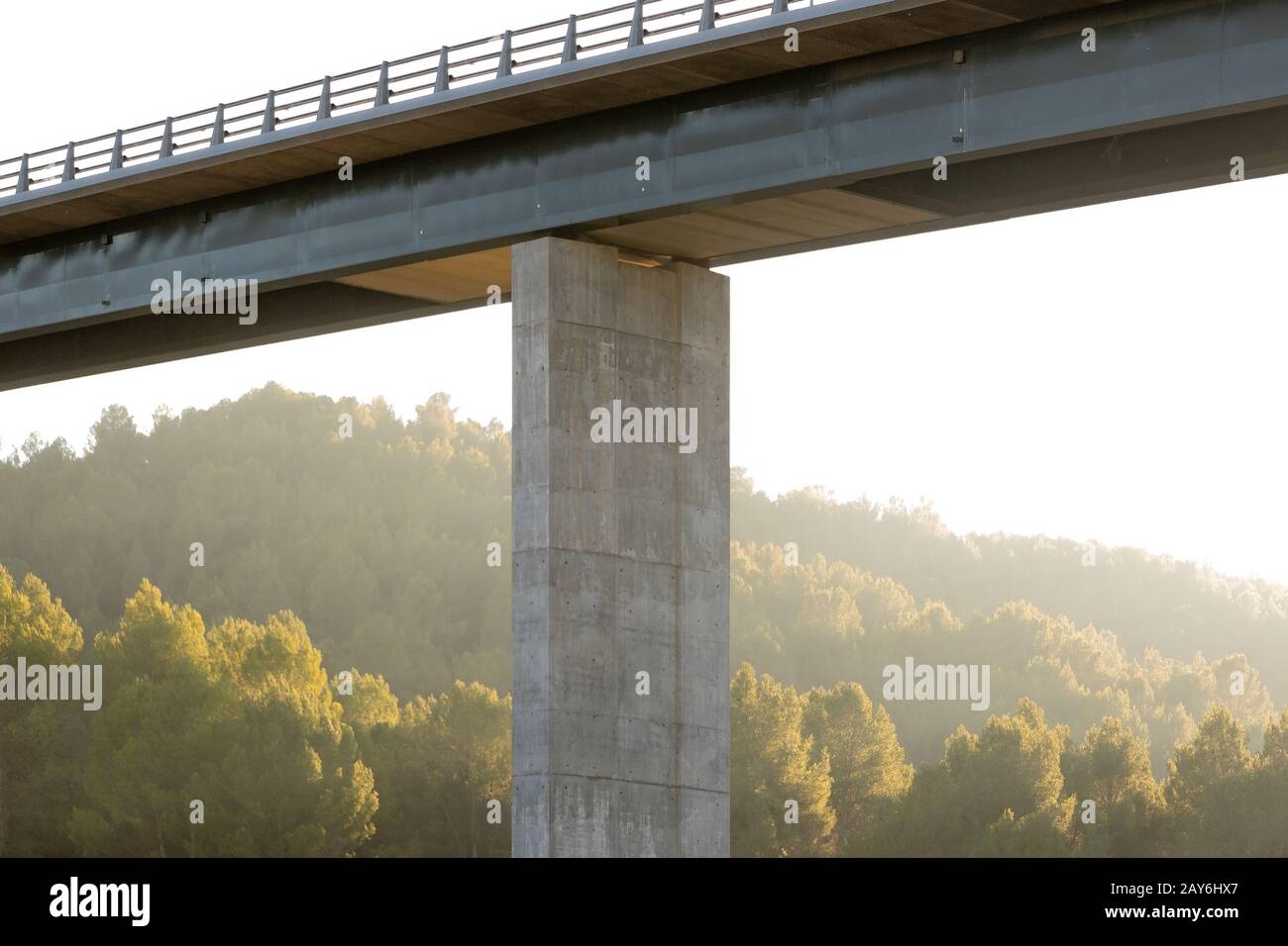 Bridge structure from underneath with background forest Stock Photo - Alamy