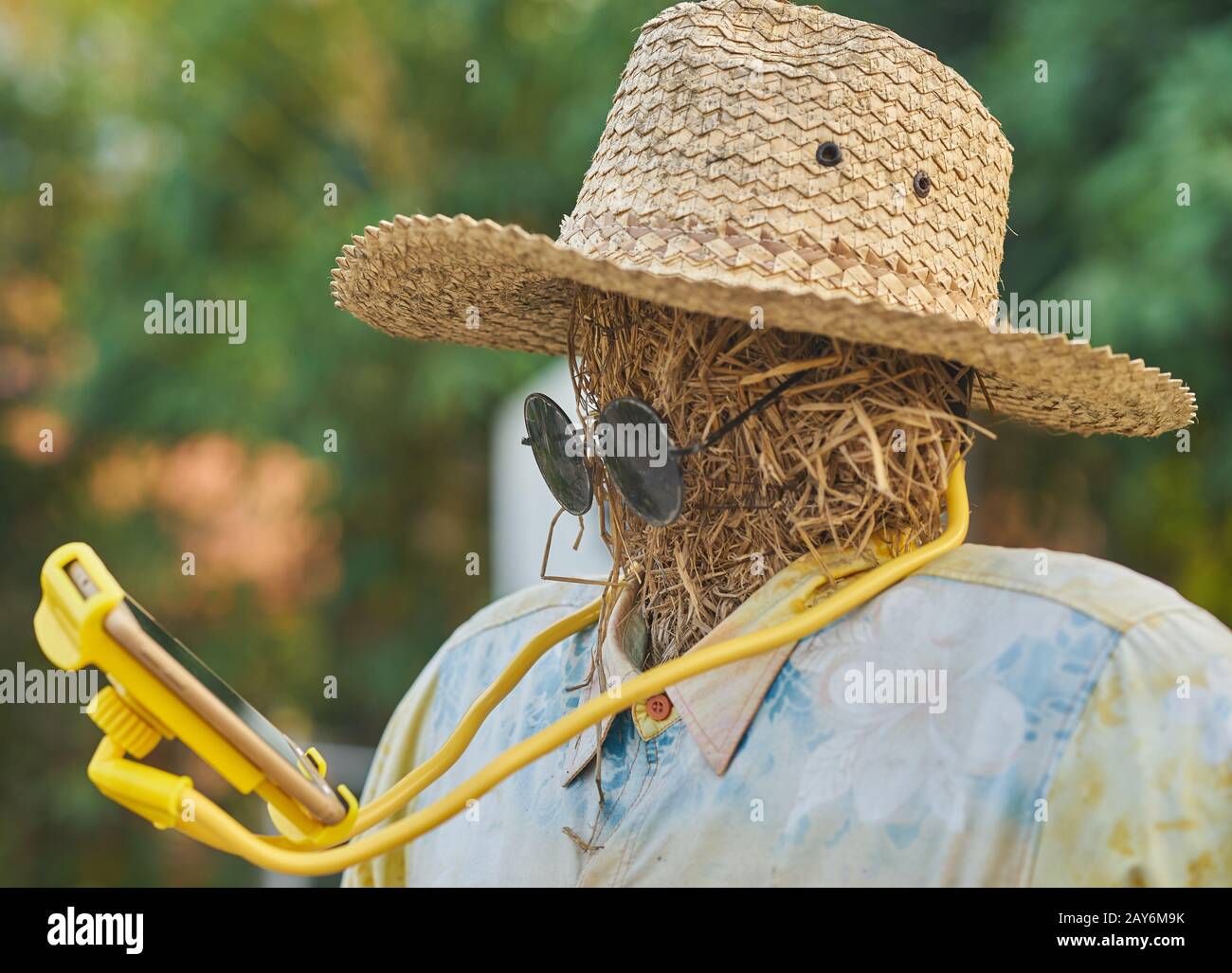 Smart scarecrow hi-res stock photography and images - Alamy