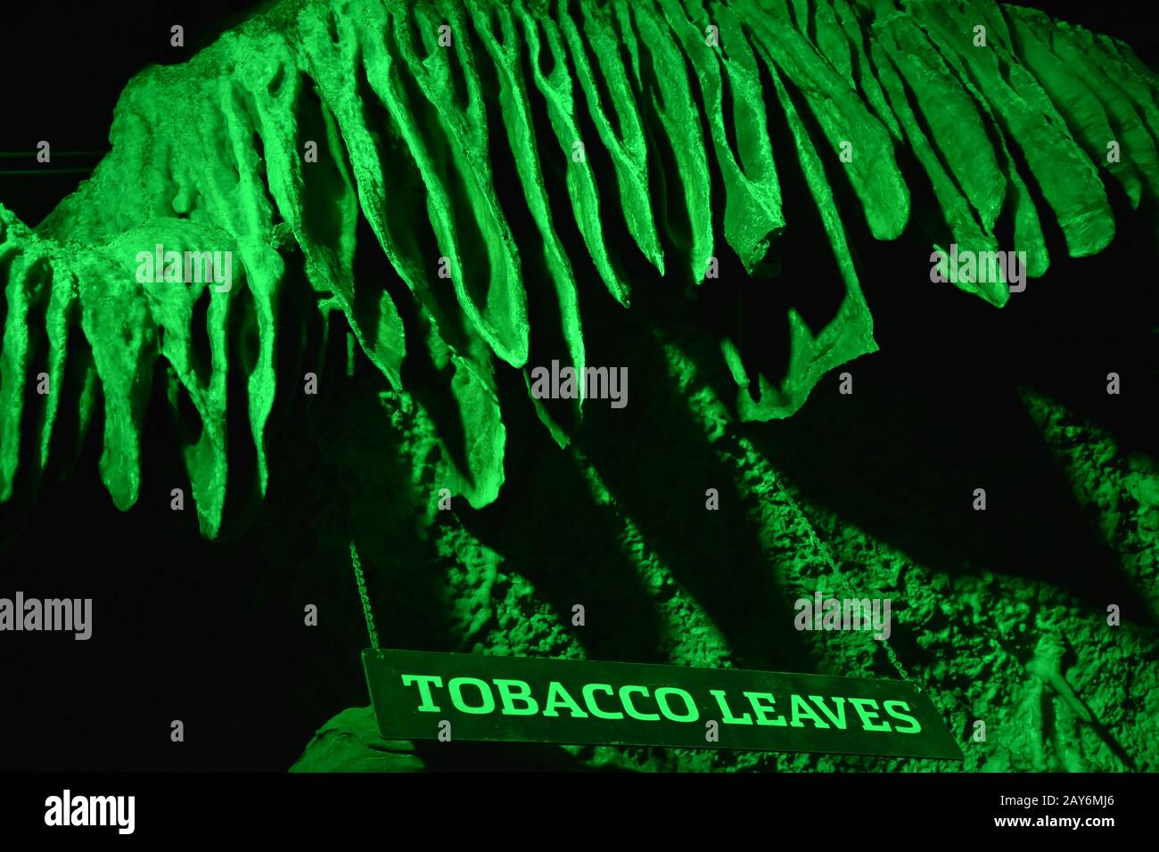 Ruby Falls in Chattanooga, Tennessee Stock Photo - Alamy