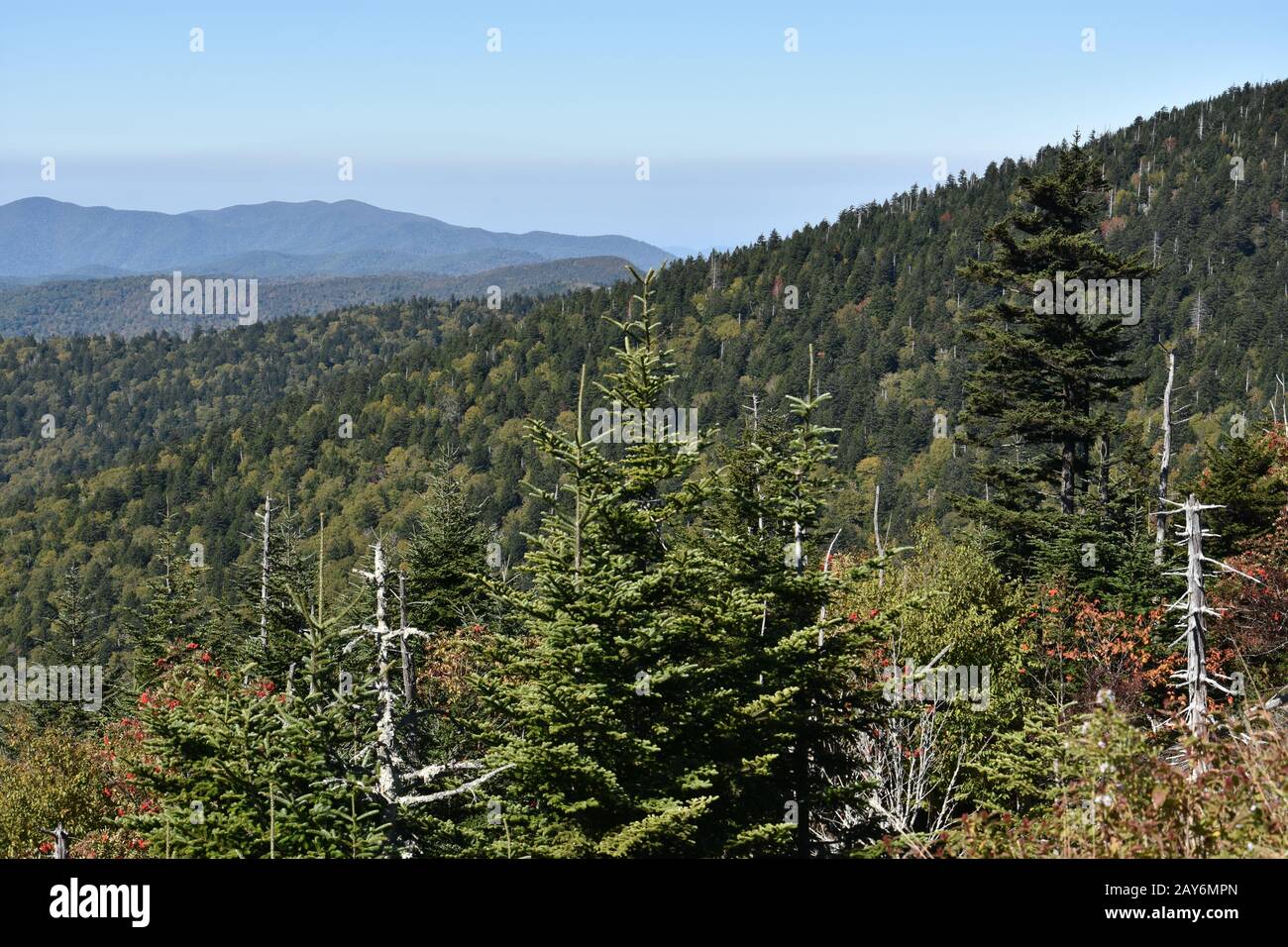 View from Clingmans Dome at Great Smoky Mountains National Park in ...