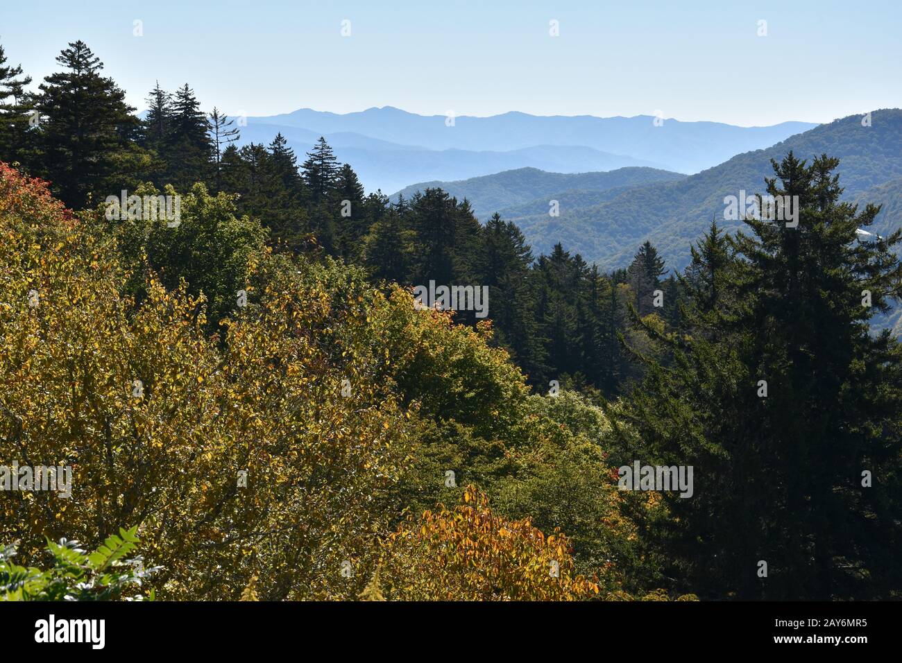 View from Clingmans Dome at Great Smoky Mountains National Park in ...