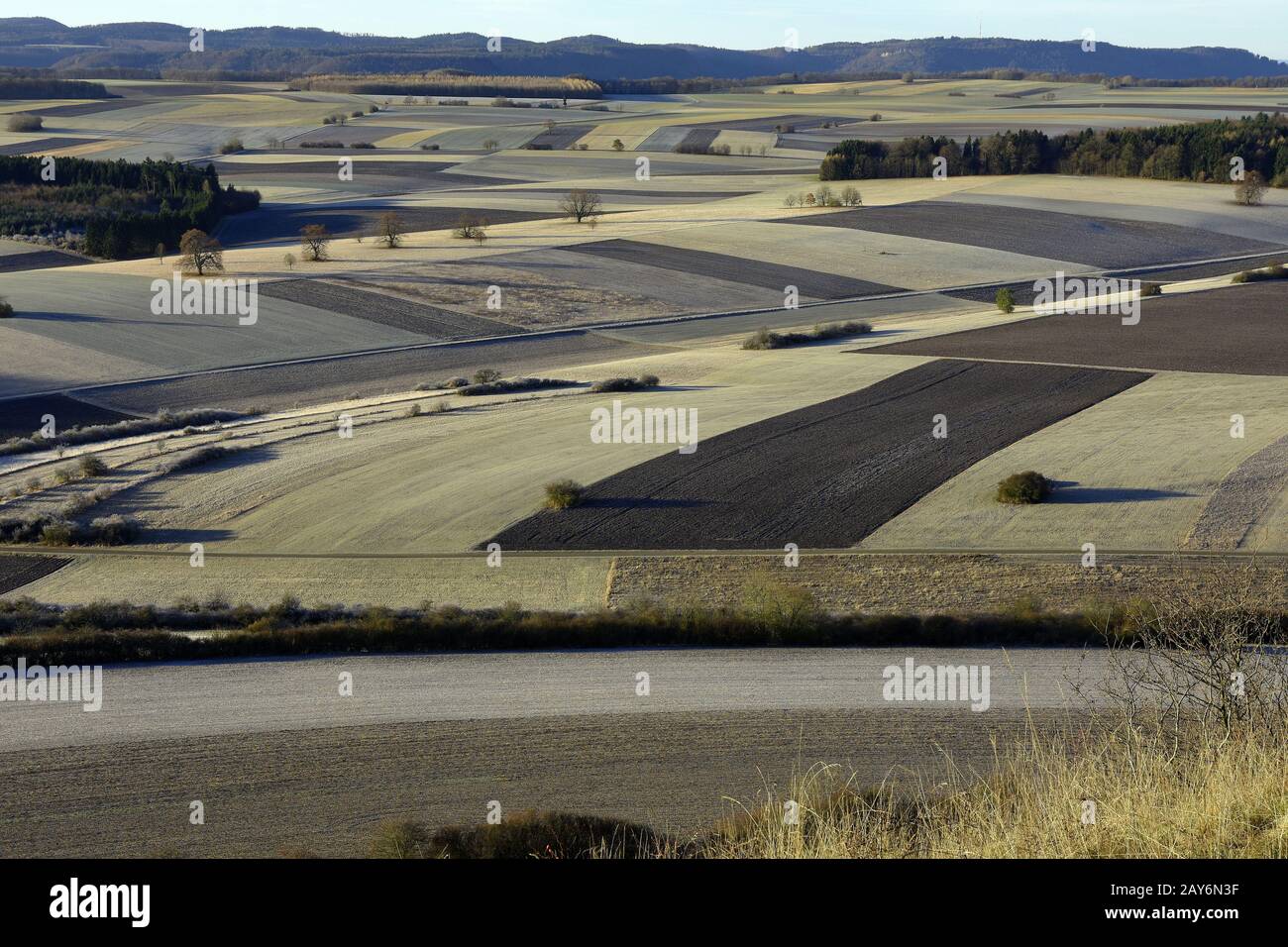 grainfields, crop fields, hedge, swabian alb, germany Stock Photo - Alamy