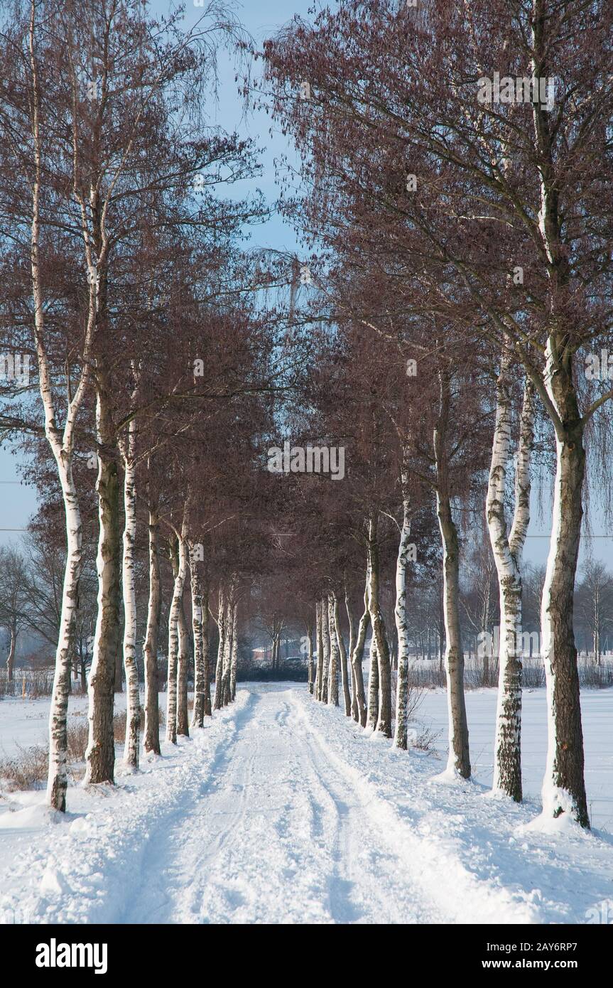 winter in germany Stock Photo - Alamy