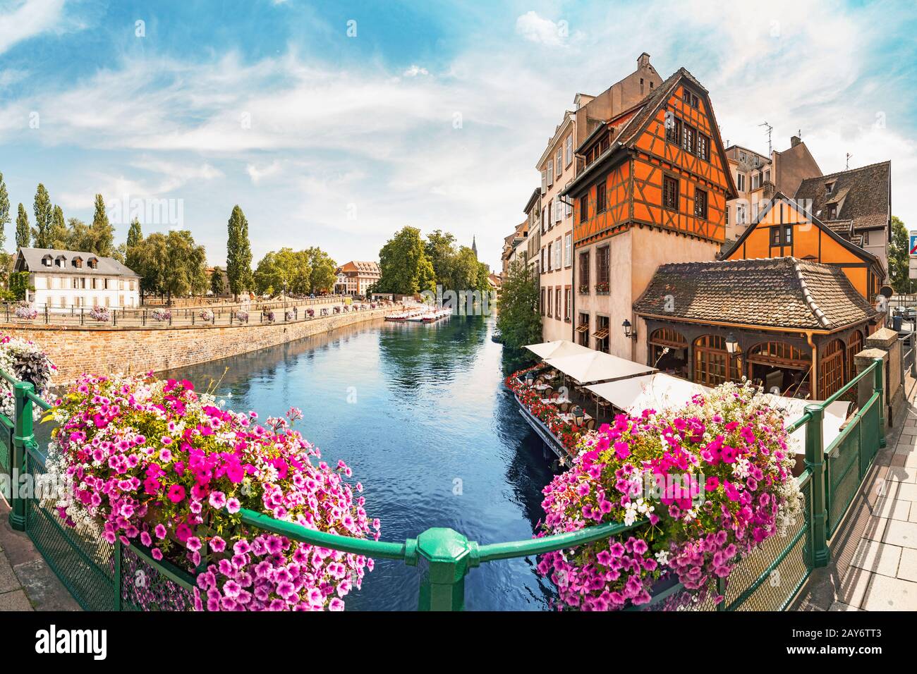 Colorful and fabulous landscape with decorative flowers and the river ...