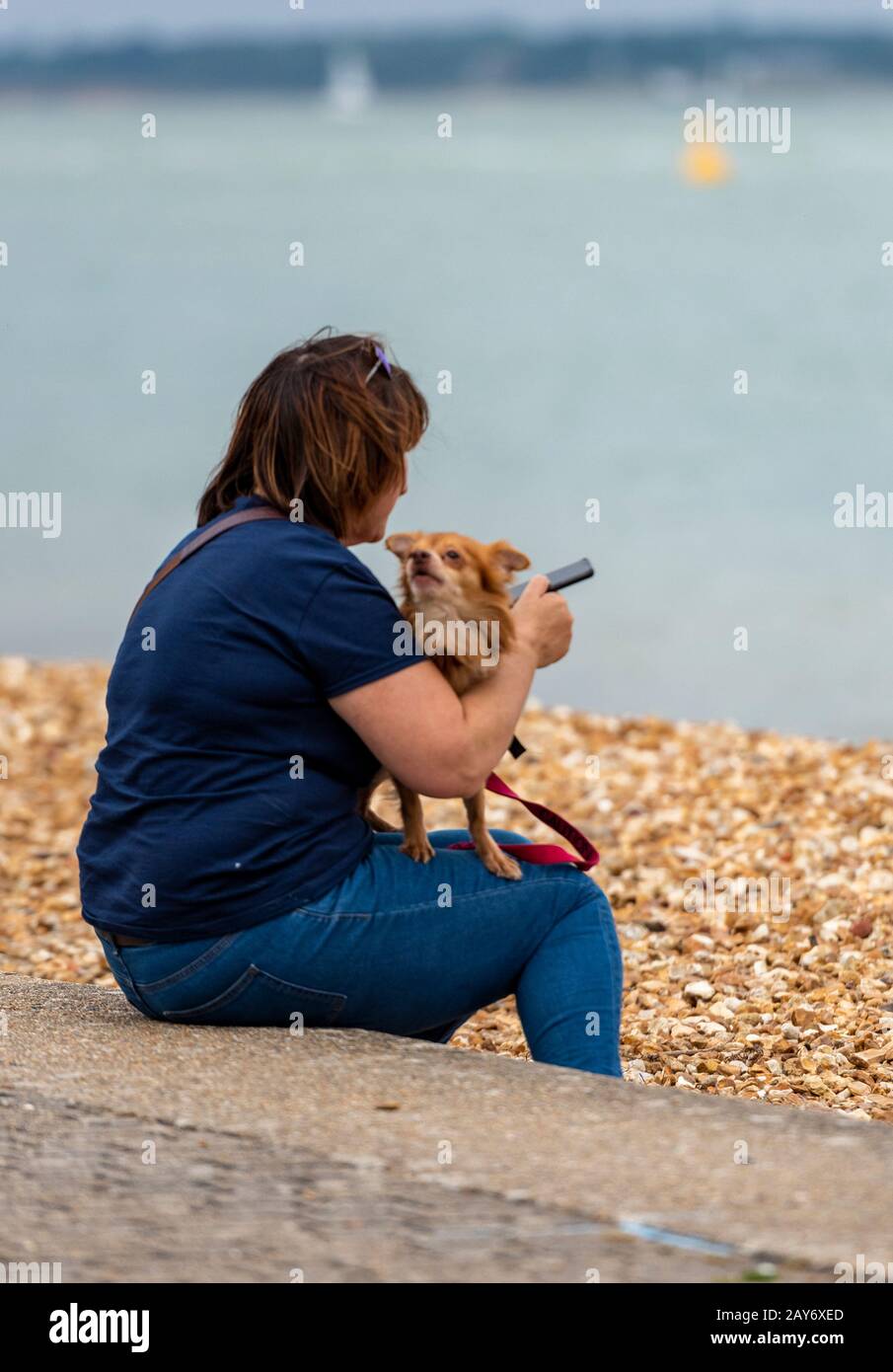 Woman on beach lady on beach seated sitting shingle seashore hi-res ...