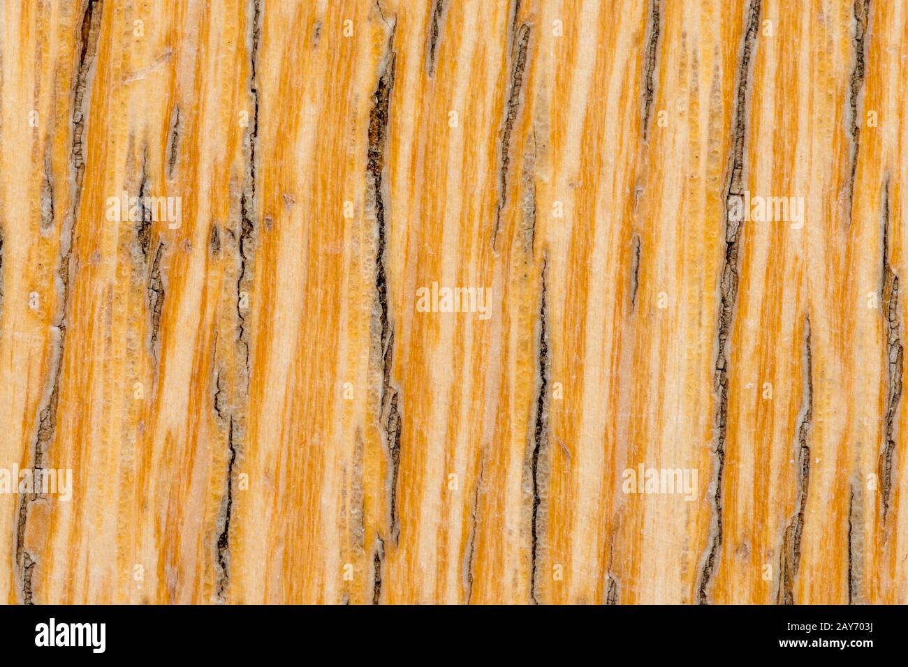 Wooden floor closeup as background Stock Photo - Alamy