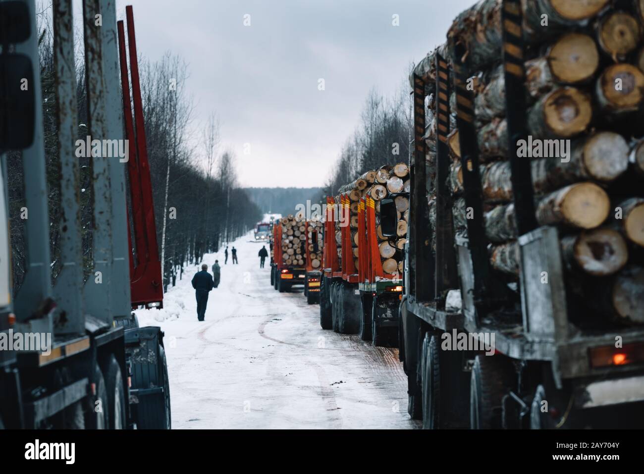 Loaded long vehicles on winter road among forest Stock Photo - Alamy