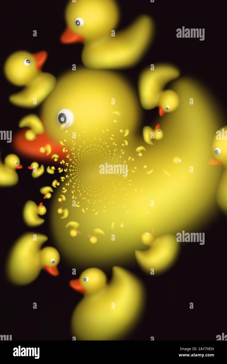 Game duck hi-res stock photography and images - Alamy