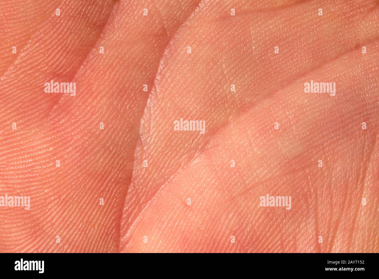 Human hand surface with life line as background Stock Photo - Alamy