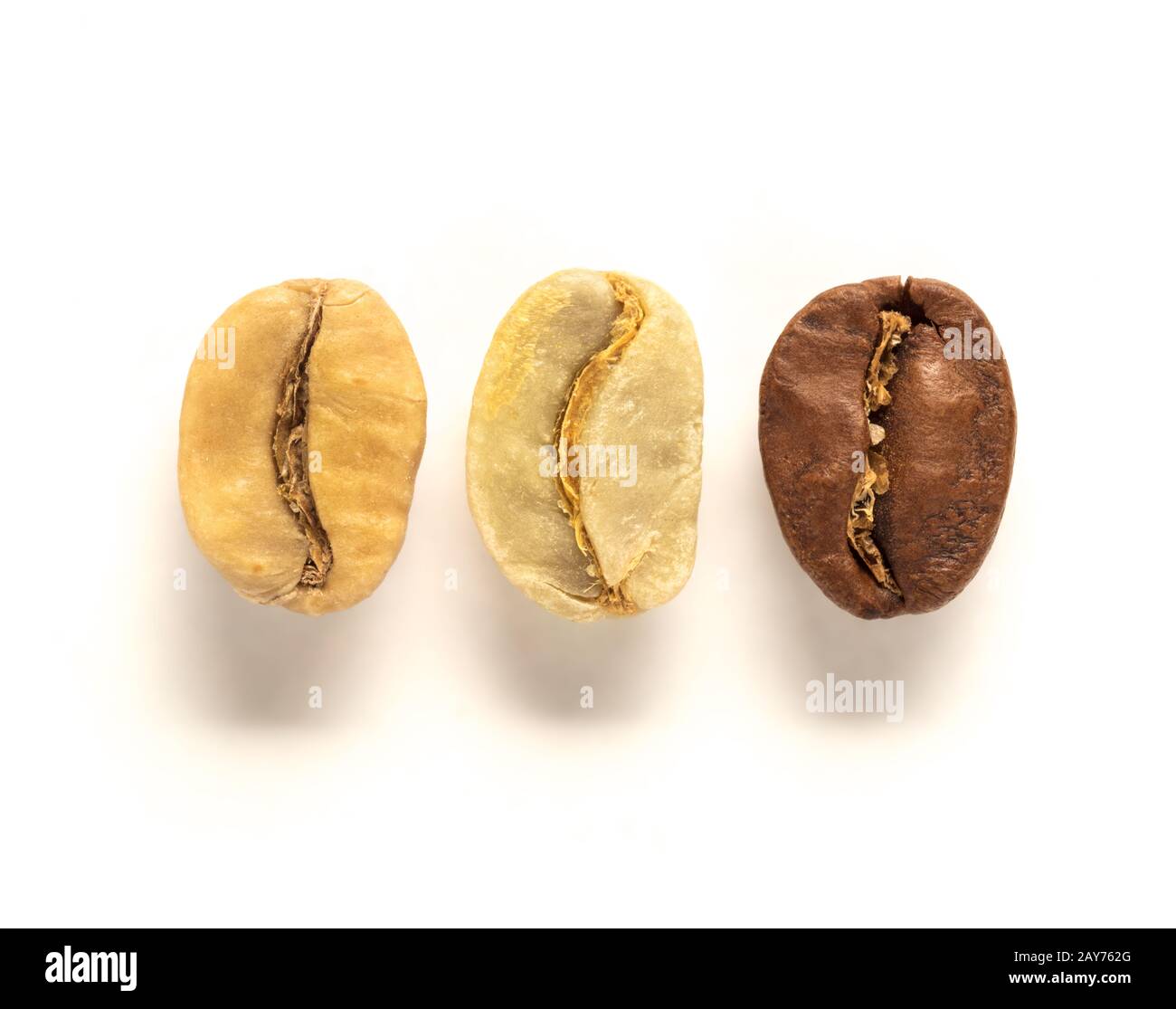 Coffee bean comparison hi-res stock photography and images - Alamy