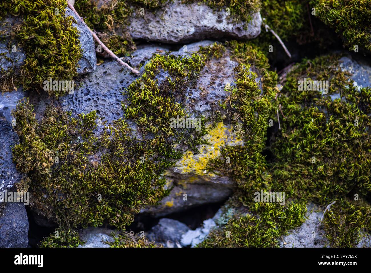 Natural background with ancient rocks covered with moss Stock Photo - Alamy
