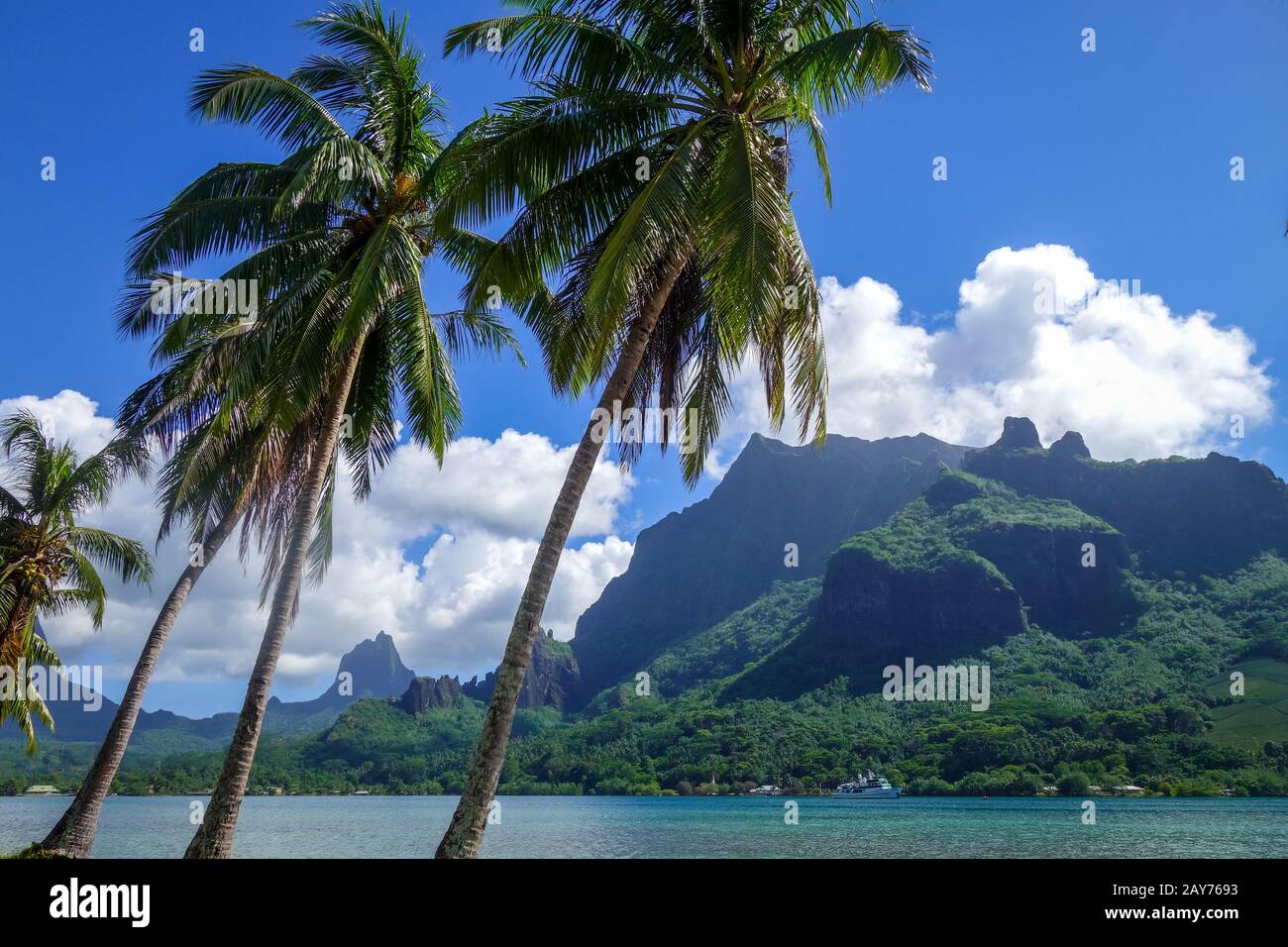 Moorea french polynesia cooks bay hi-res stock photography and images ...