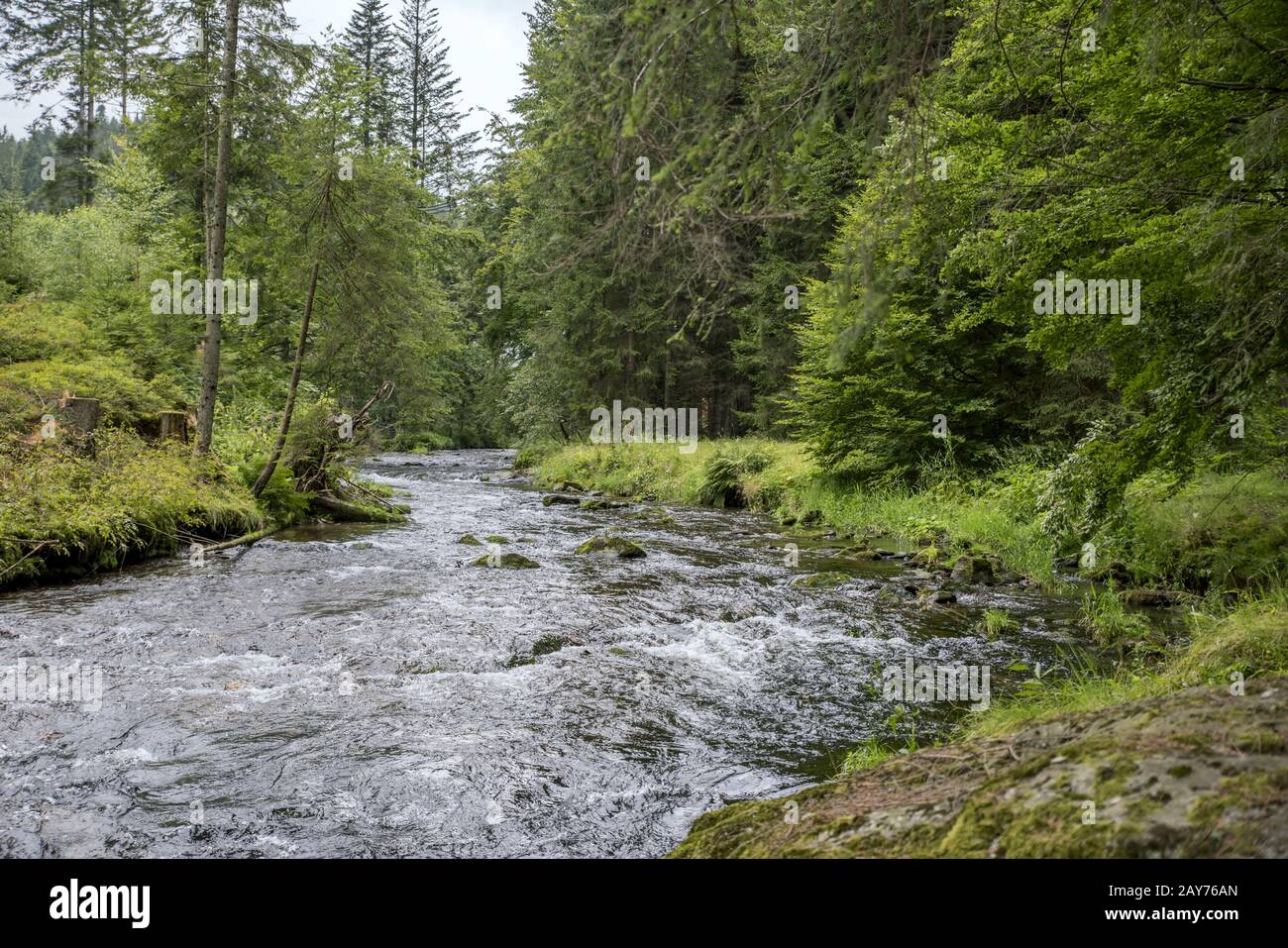 German mountain stream flowing through the forest Stock Photo - Alamy