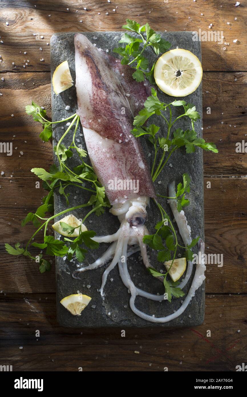 Fresh raw squid Stock Photo - Alamy