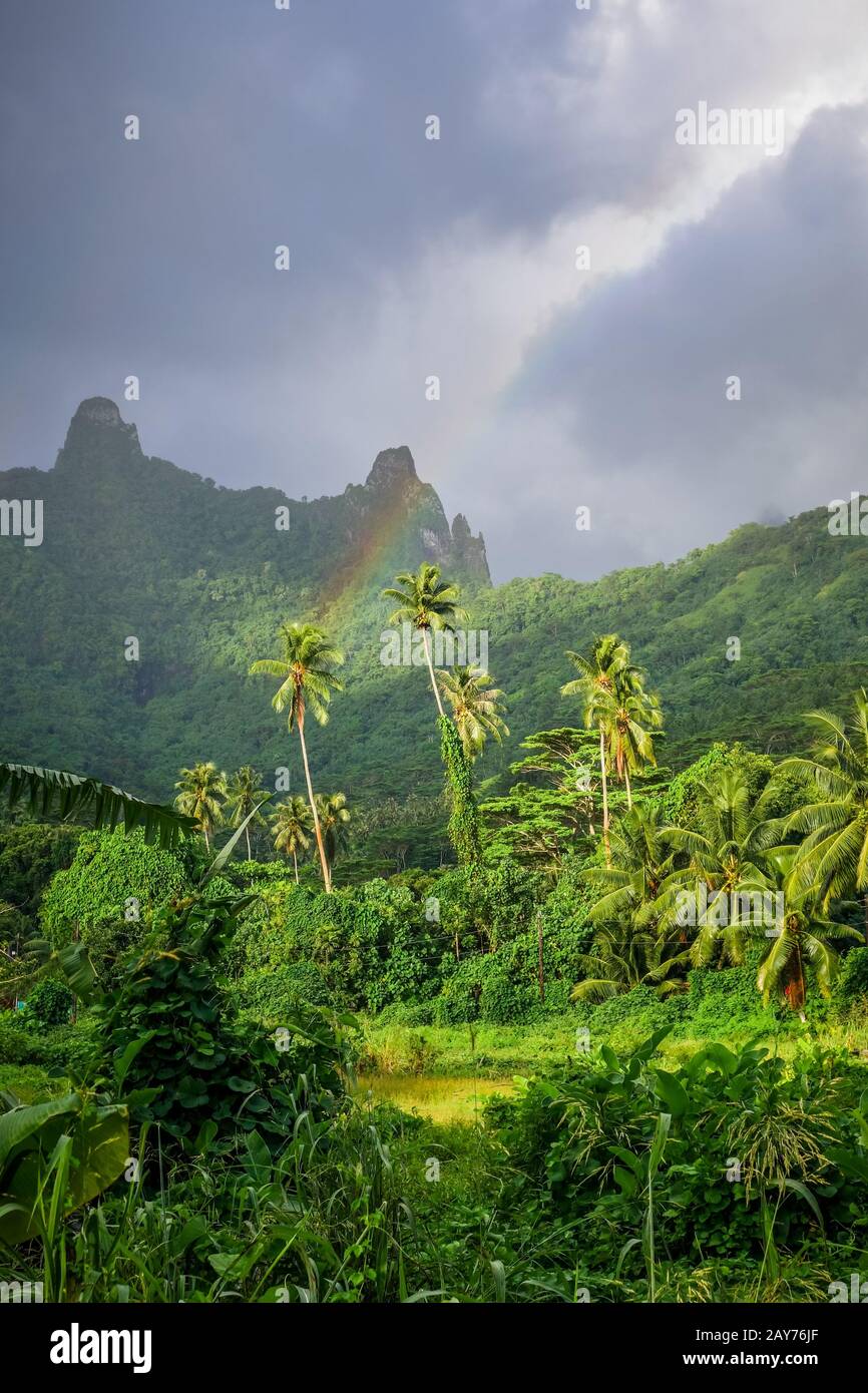 Tahiti island green mountains hi-res stock photography and images - Alamy