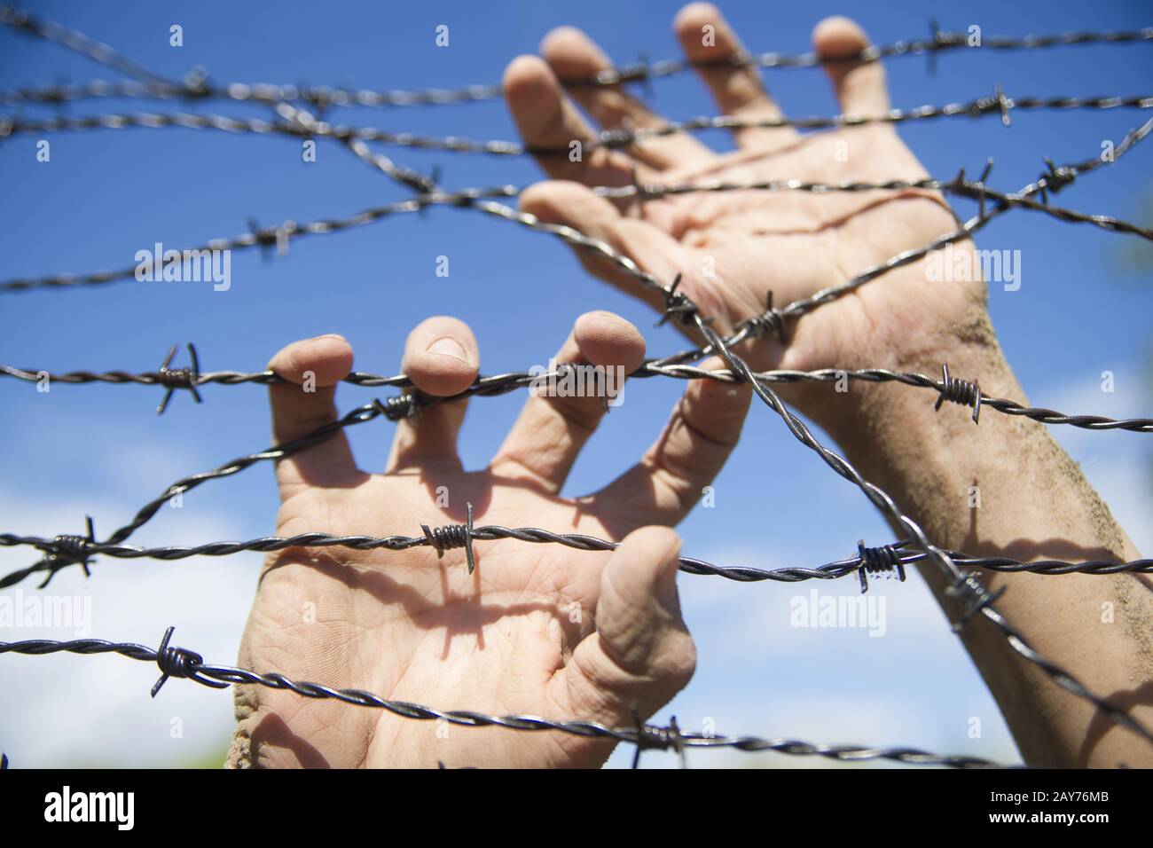 Hand and barbed wire hi-res stock photography and images - Alamy