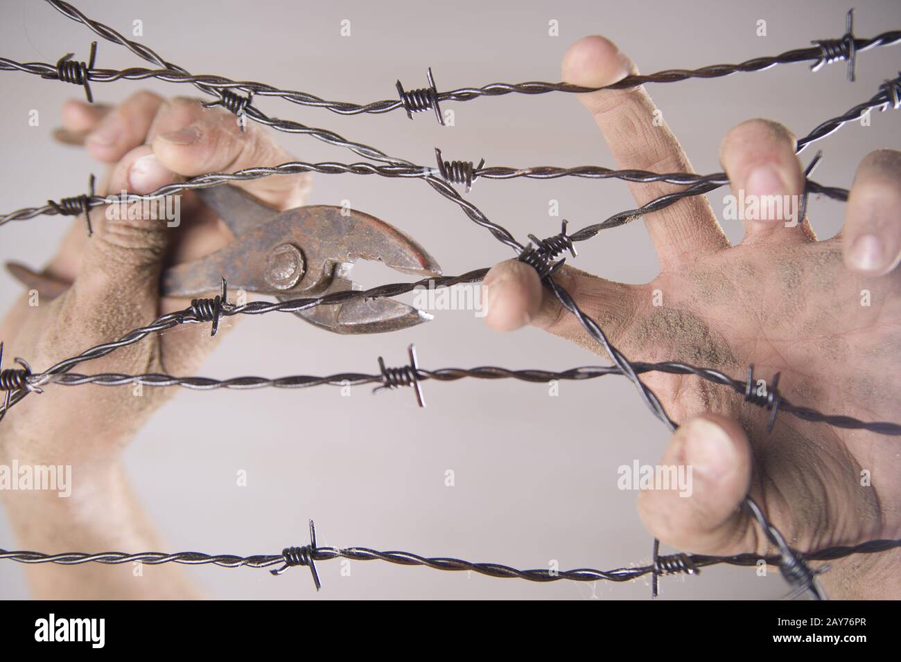 Hands in barbed wire Stock Photo - Alamy