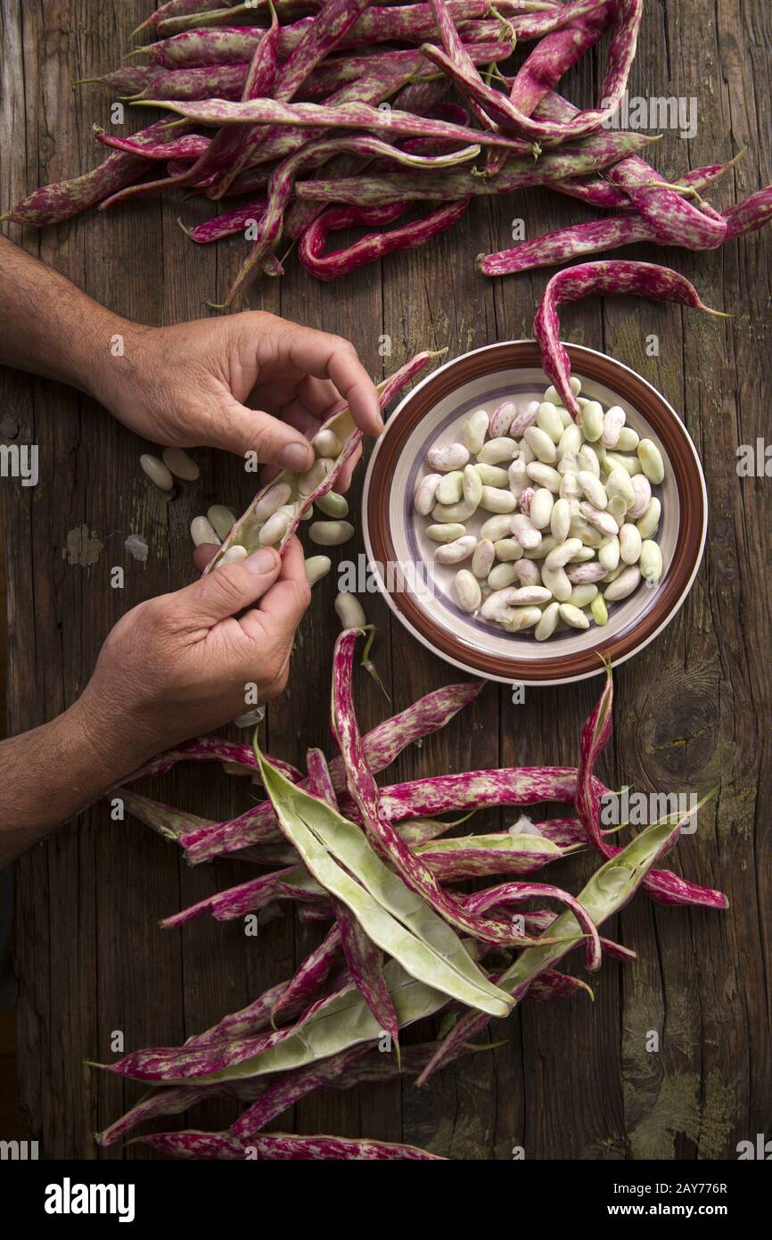 Shell the red beans Stock Photo - Alamy