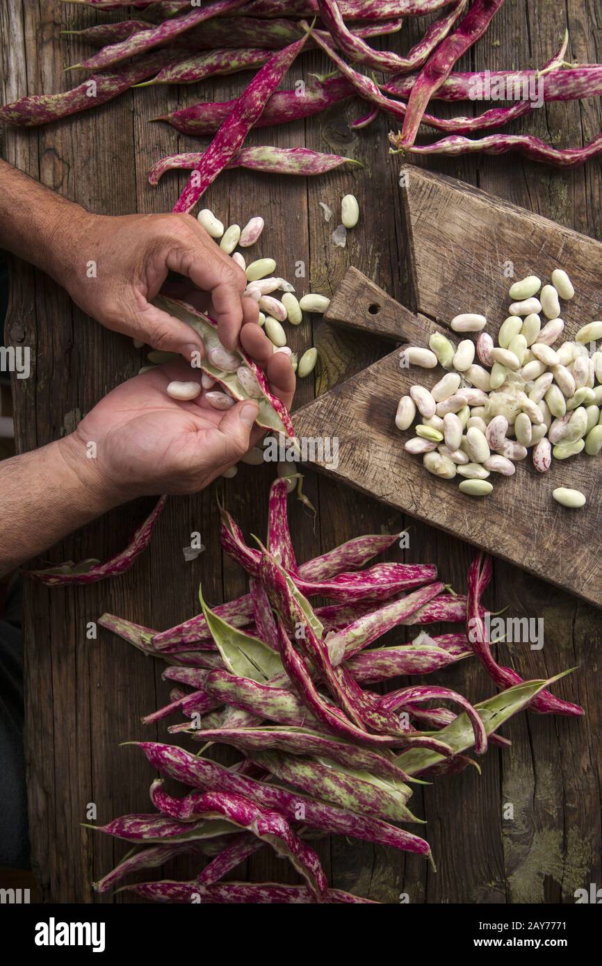 Shell peeling hi-res stock photography and images - Alamy