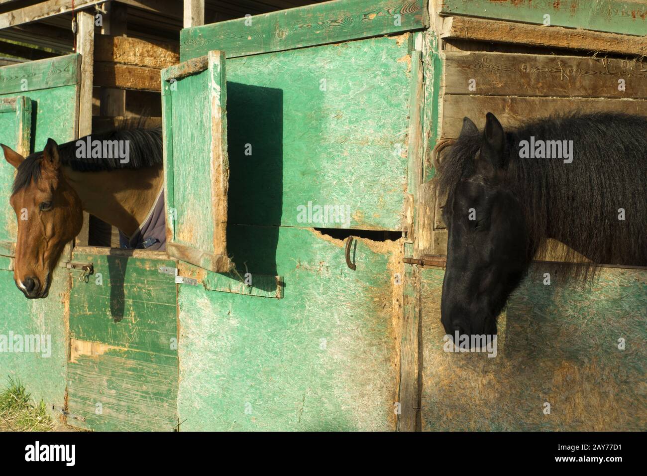 Old stable for horses Stock Photo - Alamy