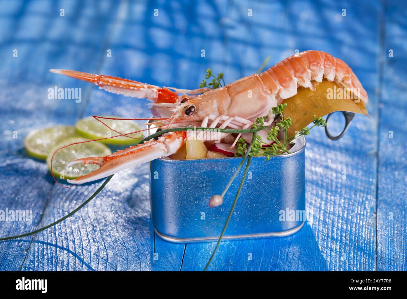 Crustacean hi-res stock photography and images - Alamy