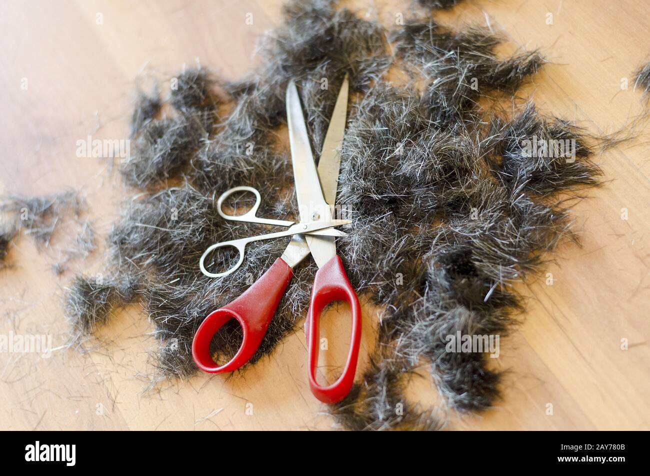 Human hair and scissors Stock Photo - Alamy