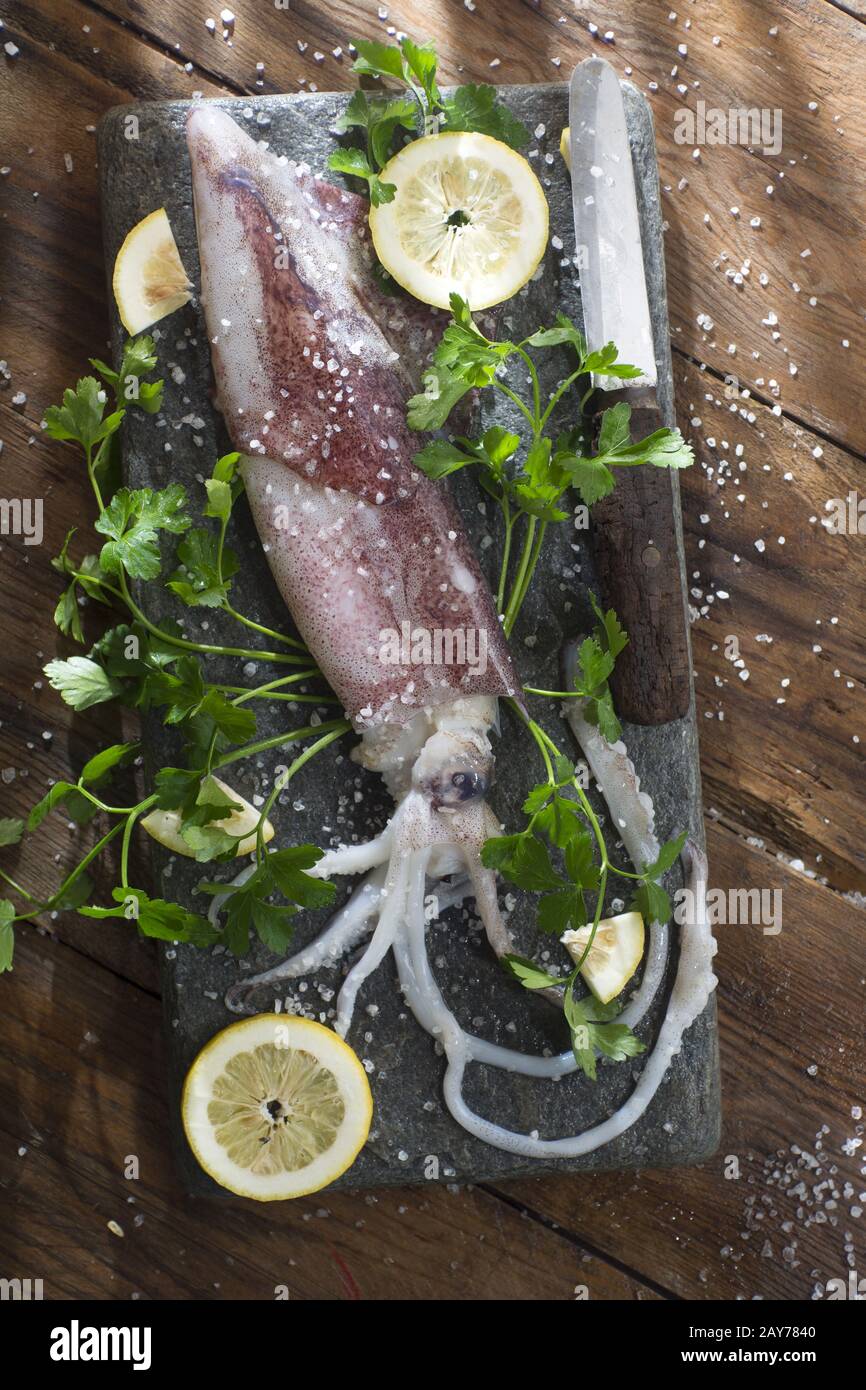 Whole squid hi-res stock photography and images - Alamy