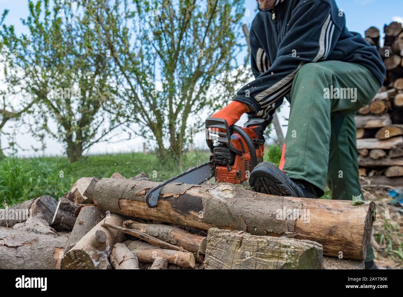 Firewood saws with a chainsaw Stock Photo - Alamy