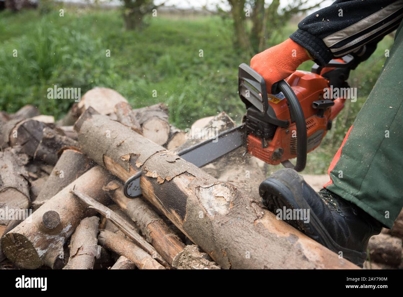 Firewood saws with a chainsaw Stock Photo - Alamy