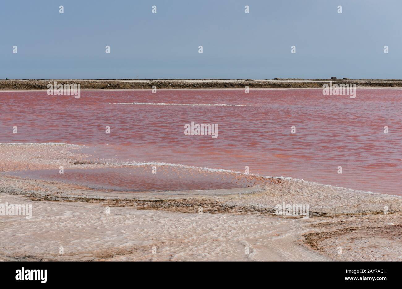 Pink seawater hi-res stock photography and images - Alamy