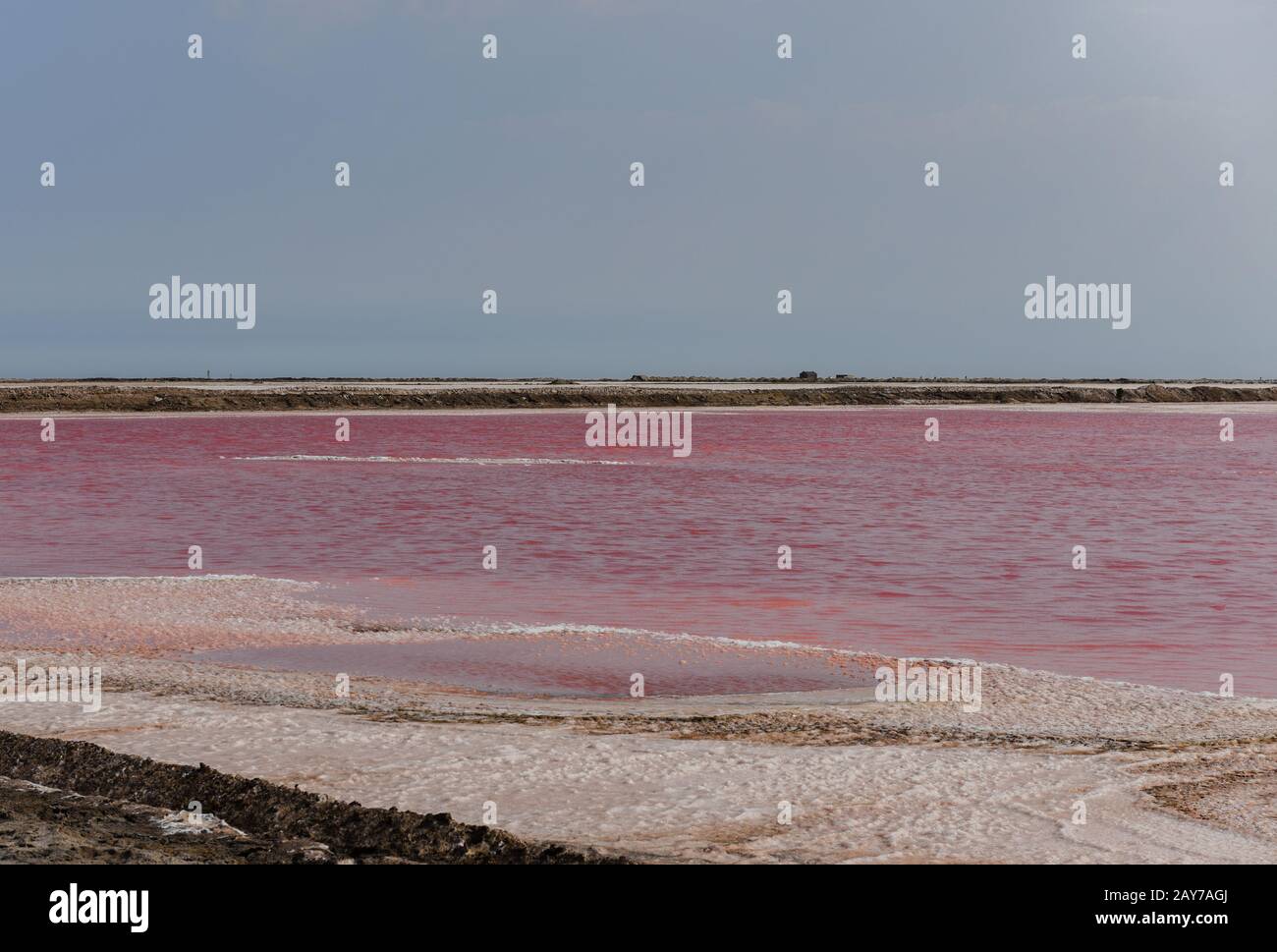 Walvis bucht hi-res stock photography and images - Alamy