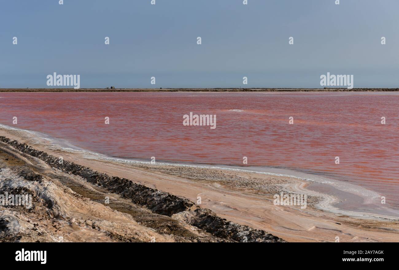 Red salt evaporation pond namibia hi-res stock photography and images ...