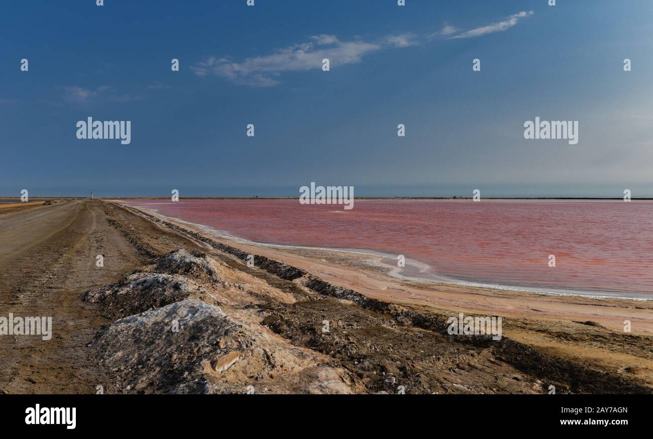 Pink water of the salt works in Walvis Bay, Namibia Stock Photo - Alamy