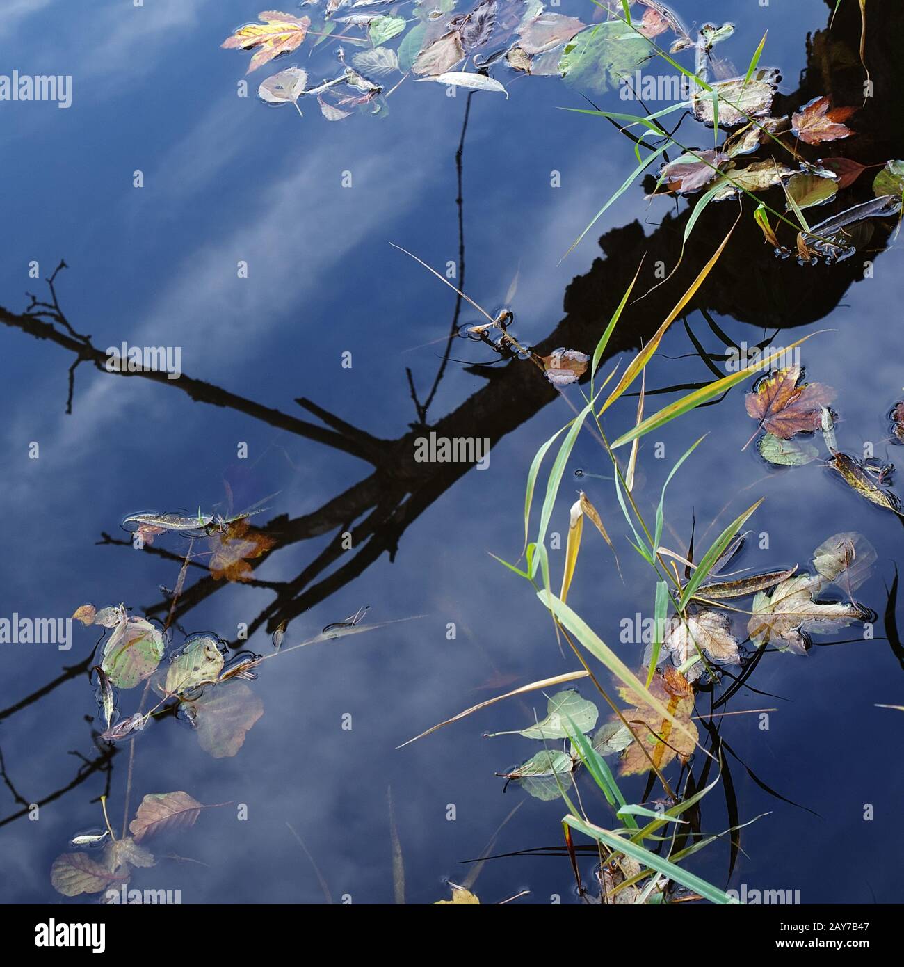 Water structures hi-res stock photography and images - Alamy