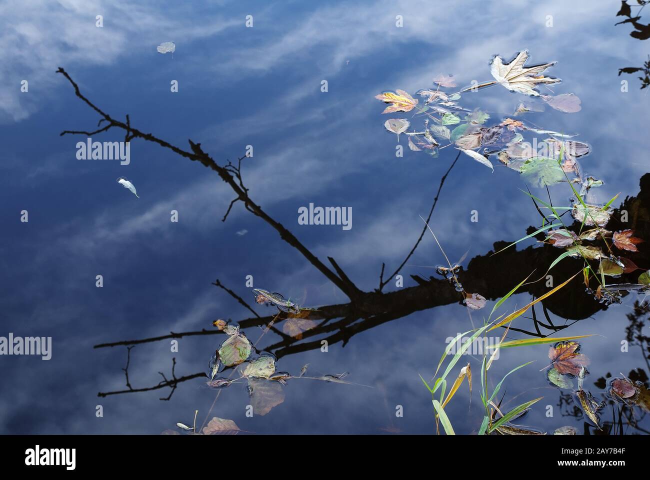 Structures in the water Stock Photo - Alamy