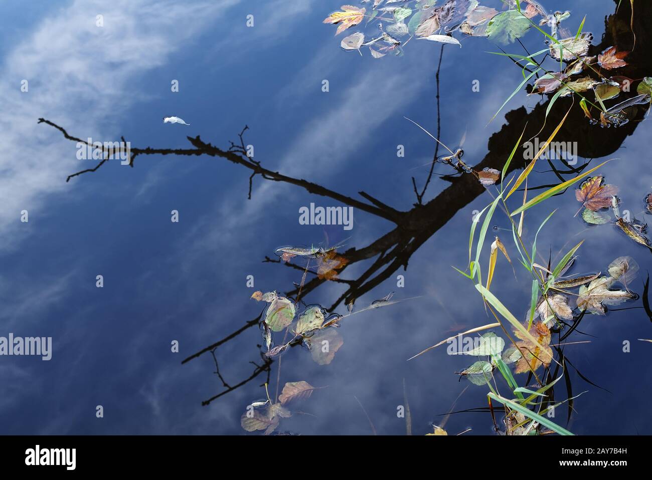 Structures in the water hi-res stock photography and images - Alamy