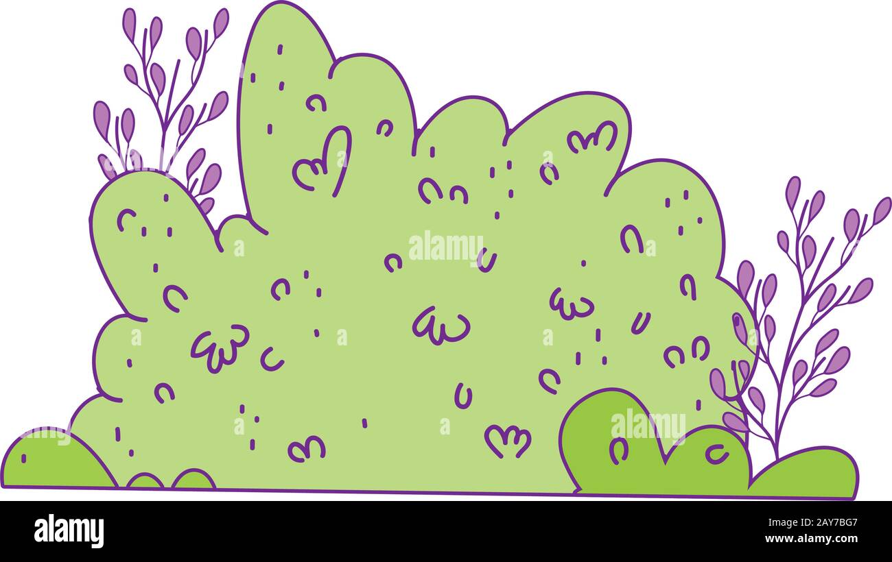 bush foliage vegetation leaves branch nature vector illustration Stock ...