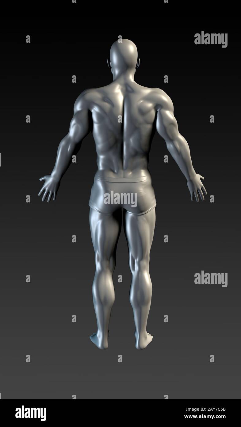 Human Body Presentation Background Stock Photo - Alamy