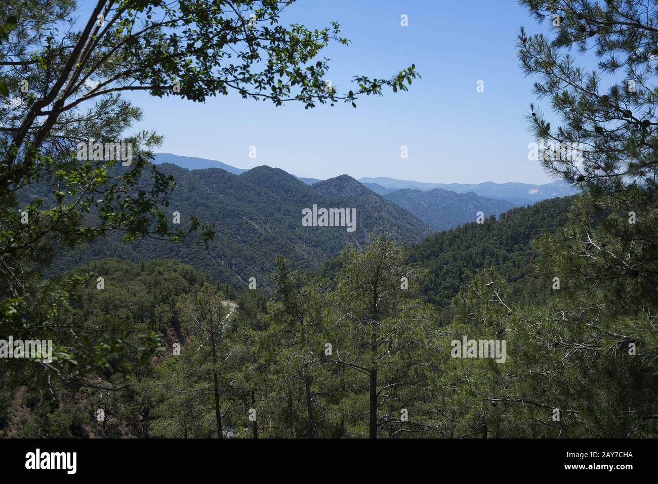Cyprus mountains covered with forest Stock Photo - Alamy