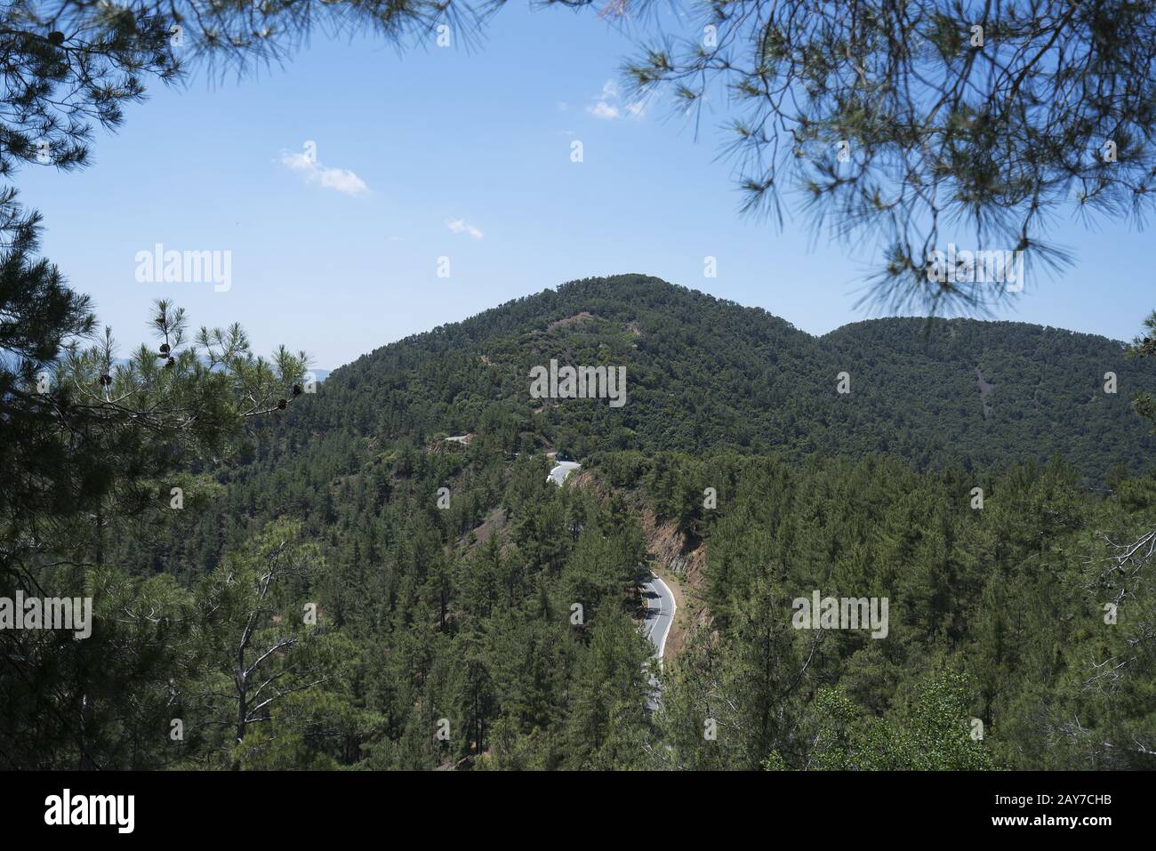 Cyprus mountains covered with forest Stock Photo - Alamy