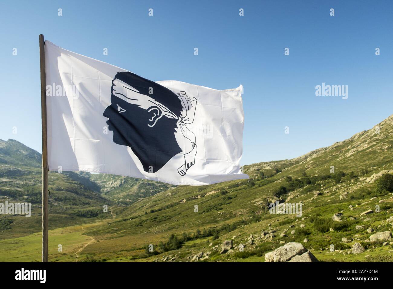 Flag with corsican symbol hi-res stock photography and images - Alamy