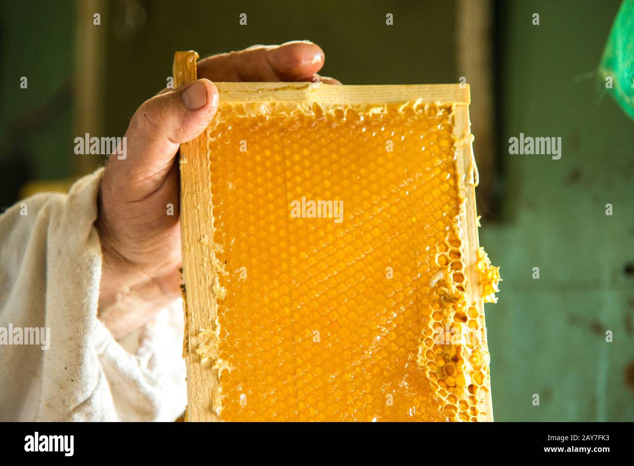 Frame full of honey hi-res stock photography and images - Alamy
