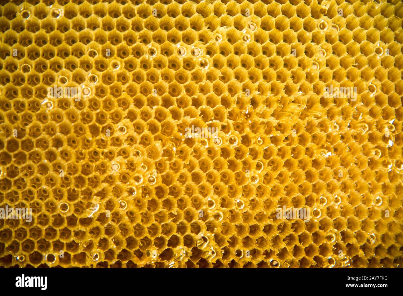 Capping honeycomb hi-res stock photography and images - Alamy