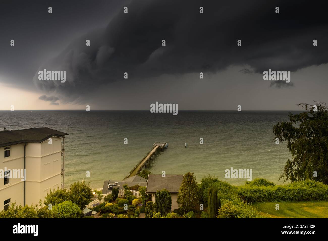 East seasel hi-res stock photography and images - Alamy