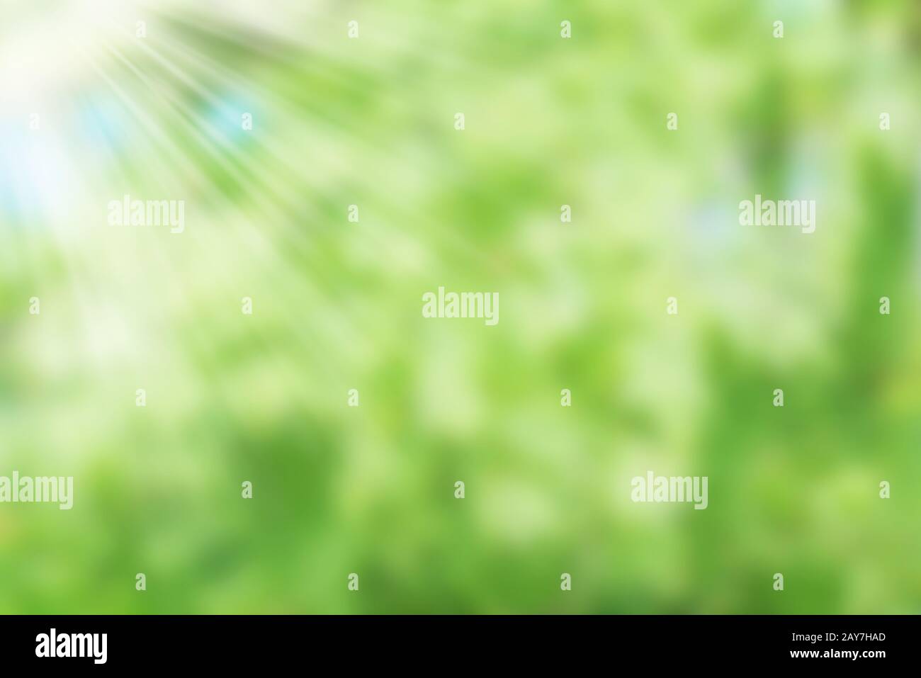 Defocused natural backdrop Stock Photo - Alamy