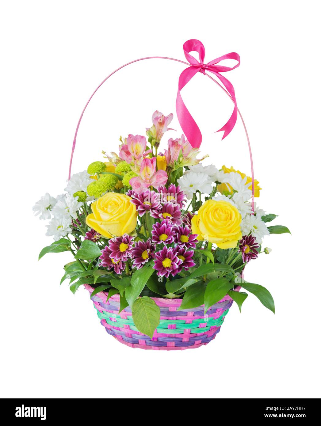 Pink roses wildflowers in Cut Out Stock Images & Pictures - Alamy