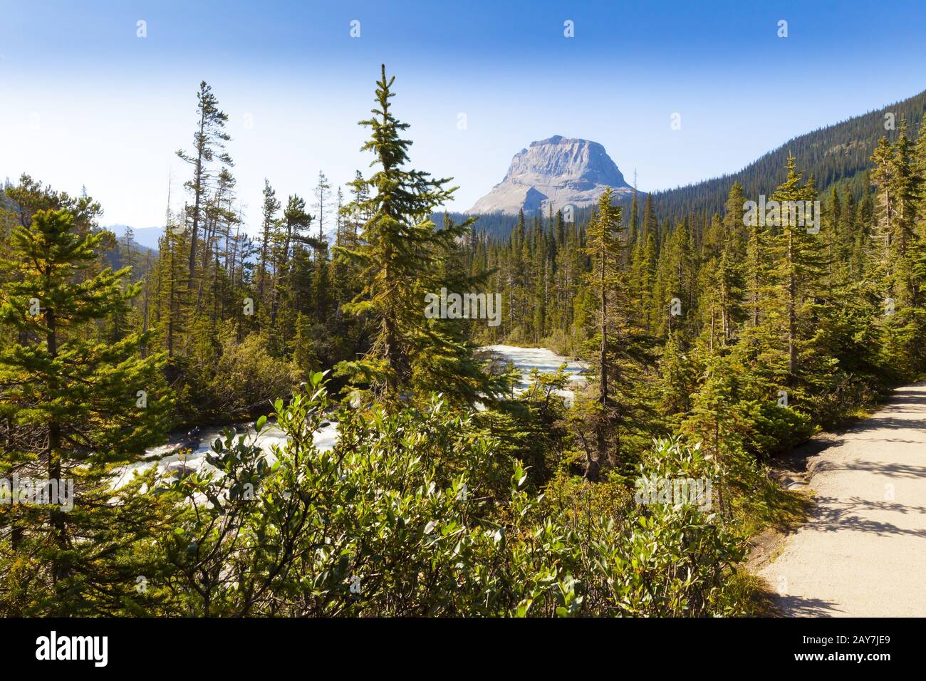 Yoho River, Yoho National Park British Columbia, Canada Stock Photo - Alamy
