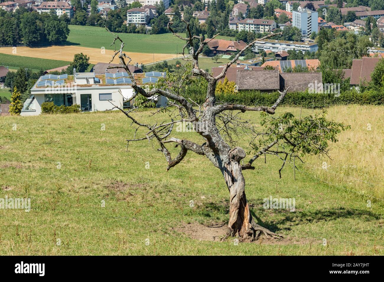 The Gurten funicular lets you to reach a paradise of green meadows and ...