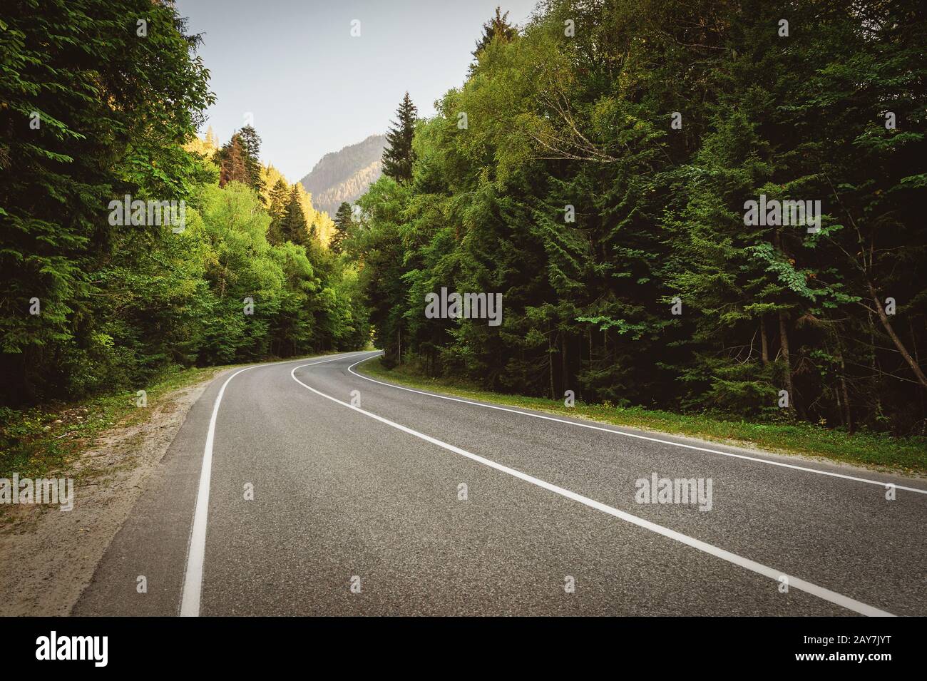 Highway through forest hi-res stock photography and images - Alamy