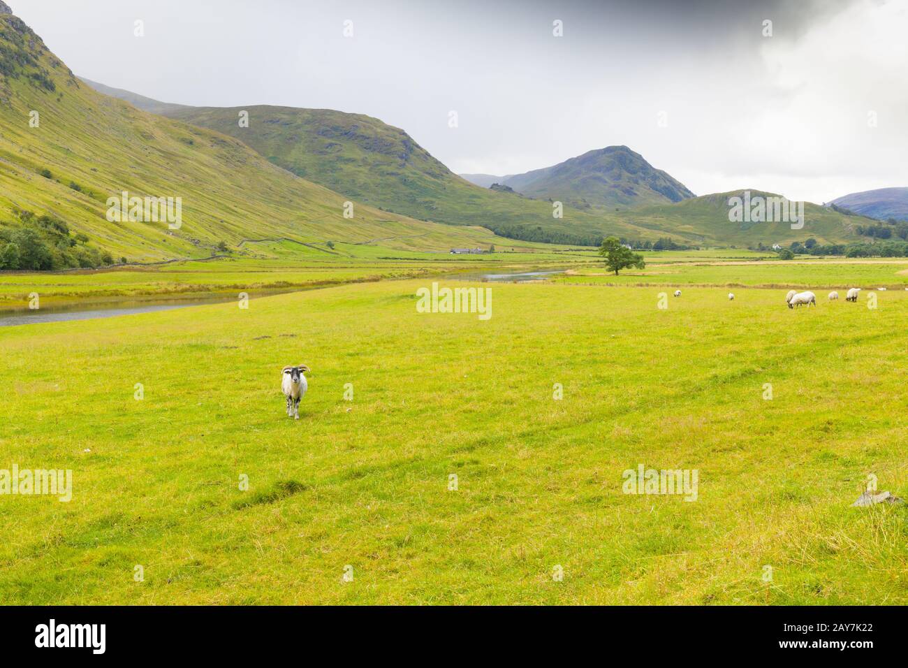 Loch lyon hi-res stock photography and images - Alamy